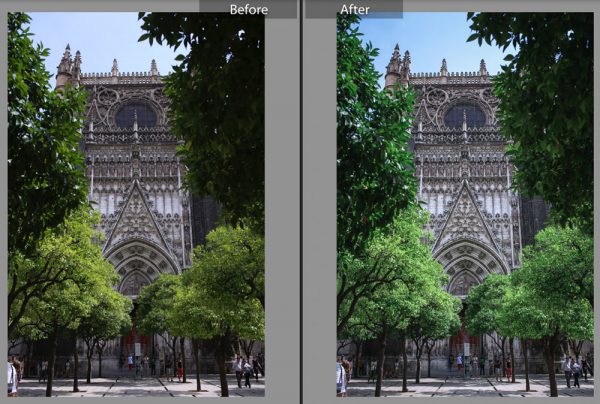 My Free Lightroom Preset - To Vogue or Bust