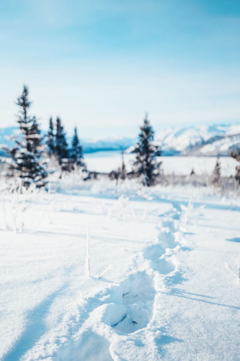 The Complete Yukon, Canada Travel Guide - To Vogue or Bust