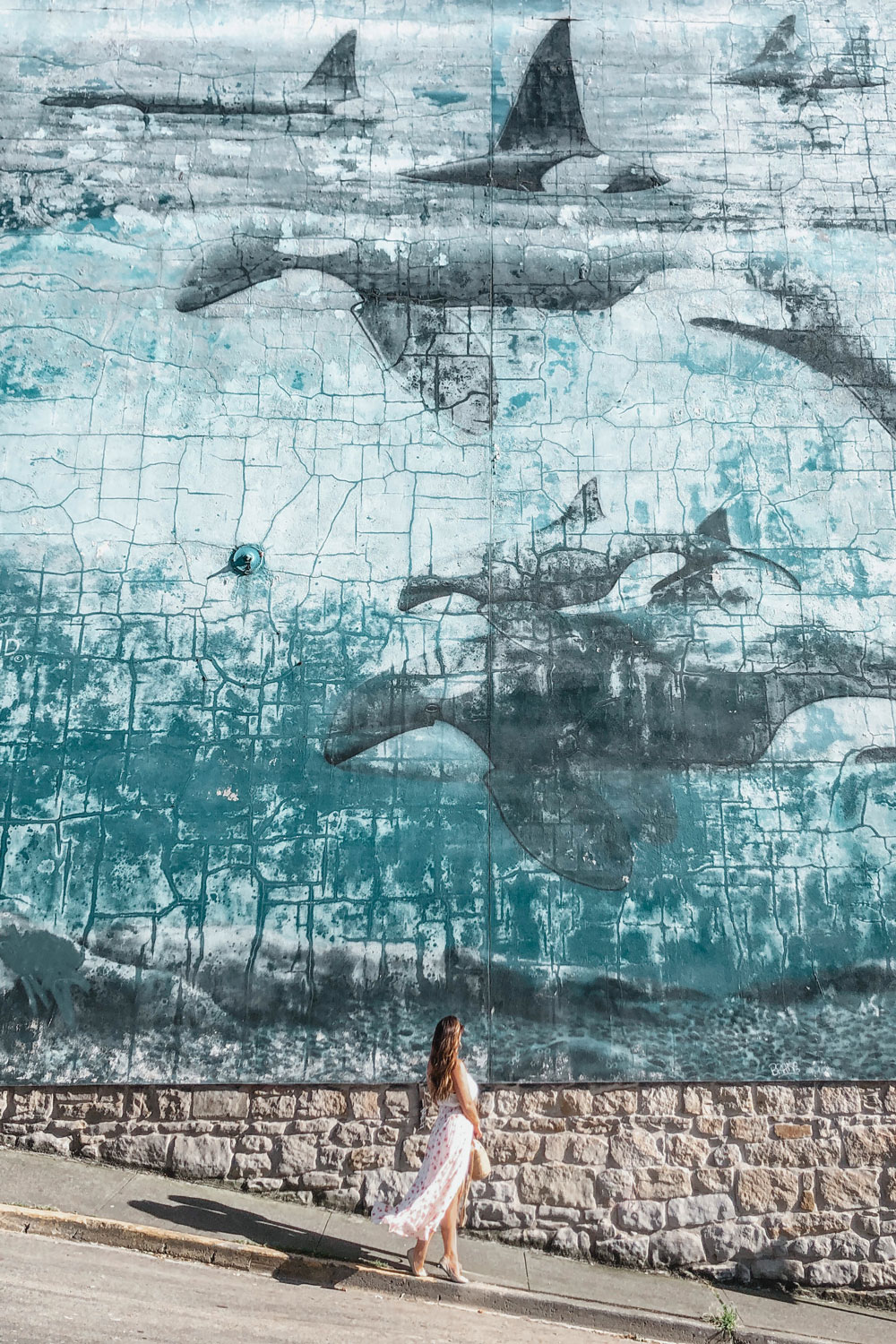 The Ultimate Victoria, Canada Travel Guide - To Vogue or Bust