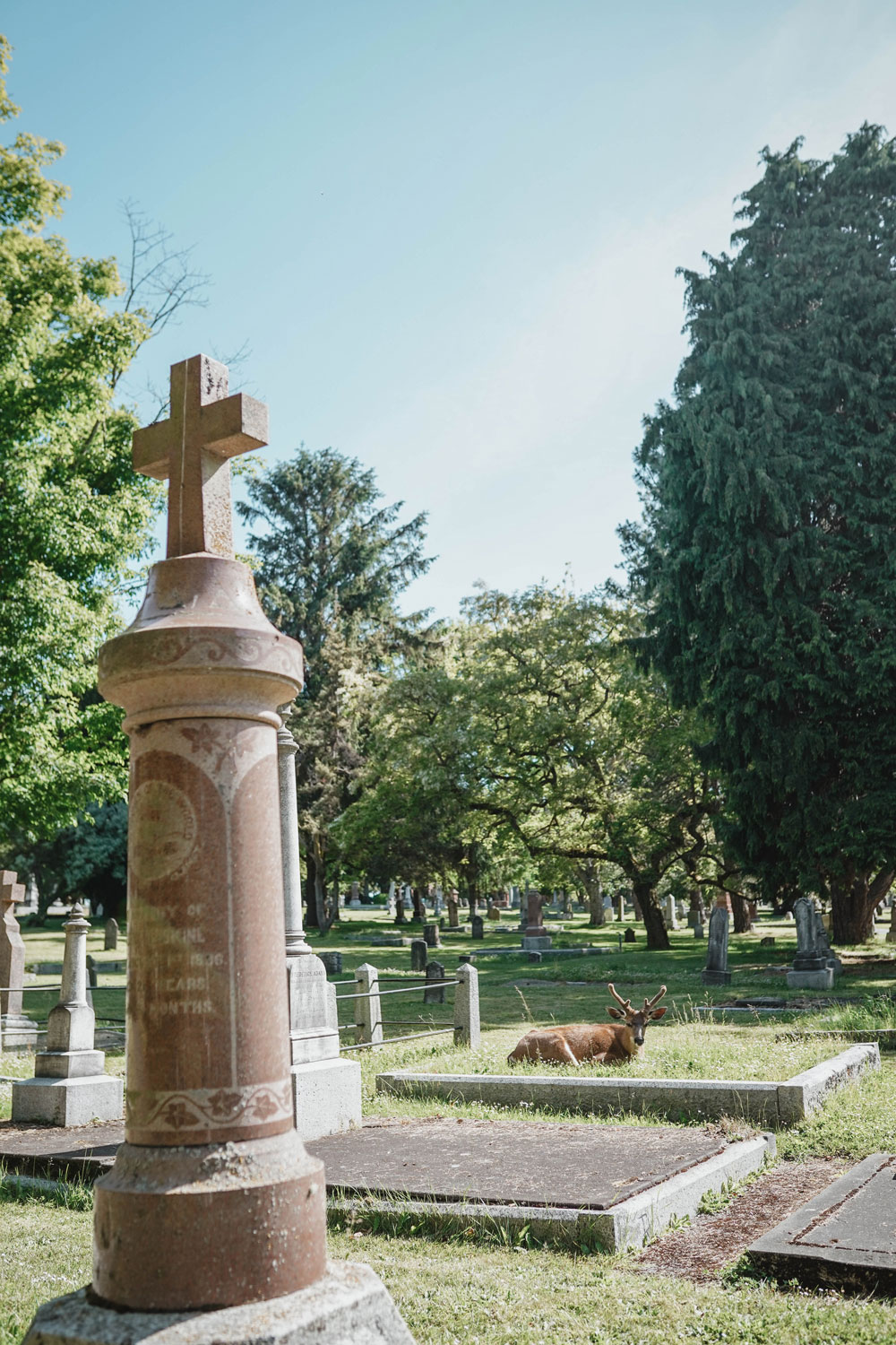 The Ultimate Victoria, Canada Travel Guide - To Vogue or Bust