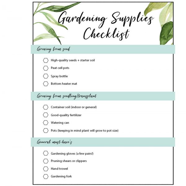 The Complete Urban Gardening Guide - To Vogue or Bust