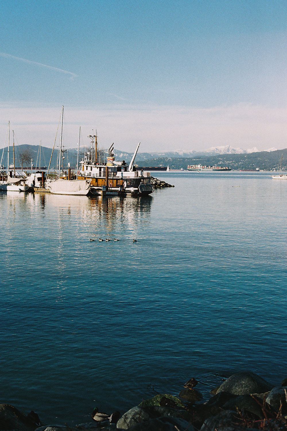 A Beginner's Guide to Film Photography - To Vogue or Bust